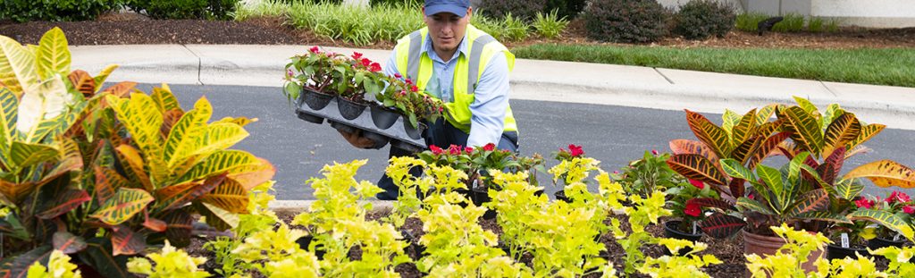 Commercial Flower Bed Installation In Jacksonville, Florida | Us Lawns ...