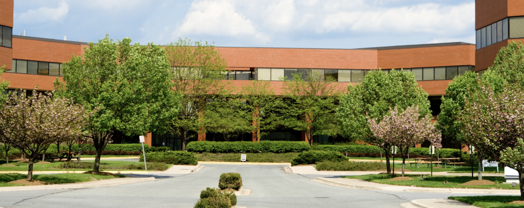 9 Effective Commercial Landscape Ideas to Beautify Your Business | U.S ...