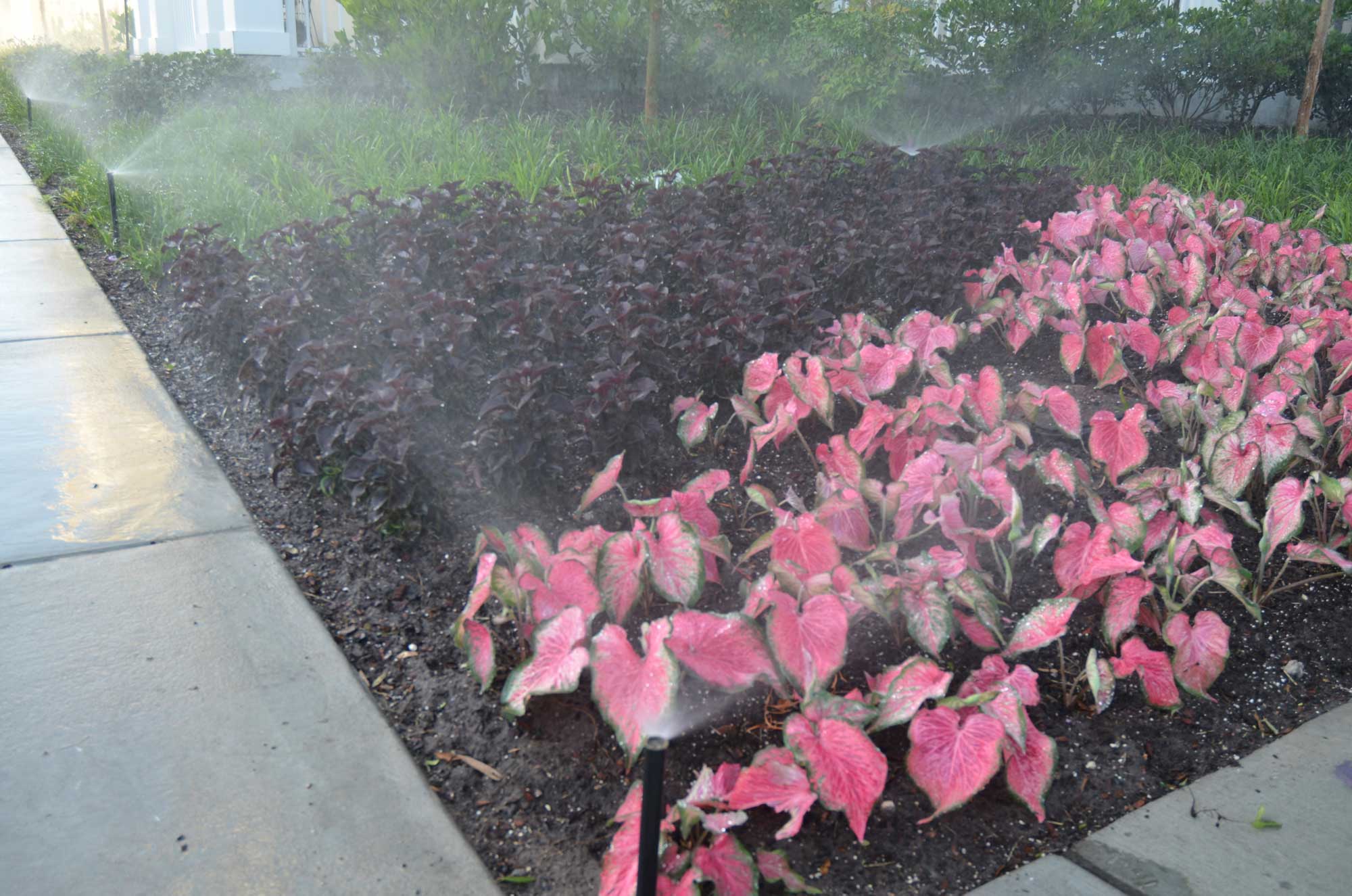 Commercial Landscape Irrigation Services | U.S. Lawns