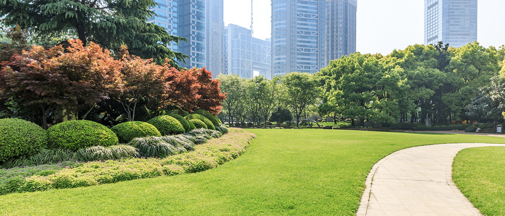 Maintaining An Aesthetically Pleasing And Effective Outdoor Area ...